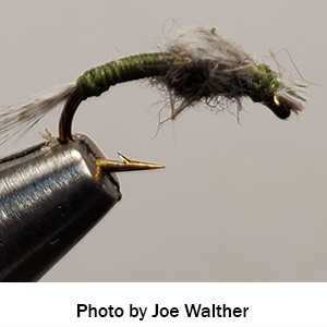 WD-40-Midge | Seneca Valley Trout Unlimited